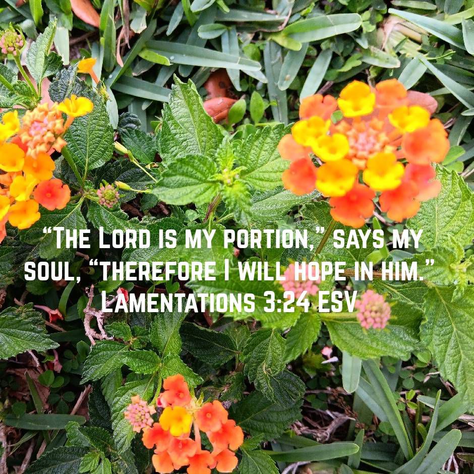 Resurrection Joy | praise2worshipdotnet